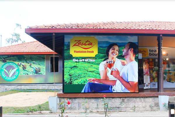 The Tea Cup – Hatton Plantations PLC