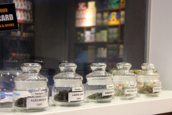 The Tea Cup – Hatton Plantations PLC