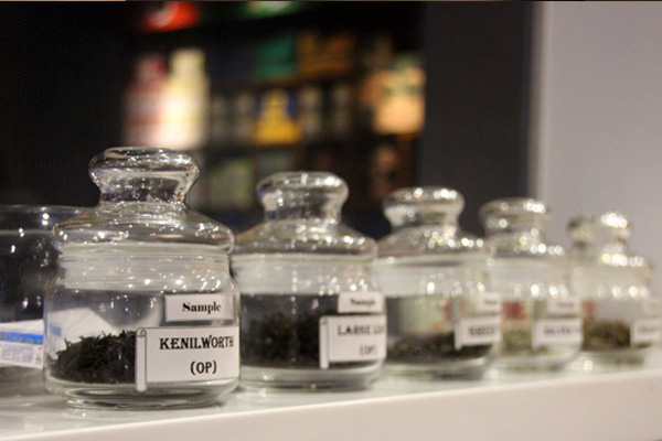 The Tea Cup – Hatton Plantations PLC