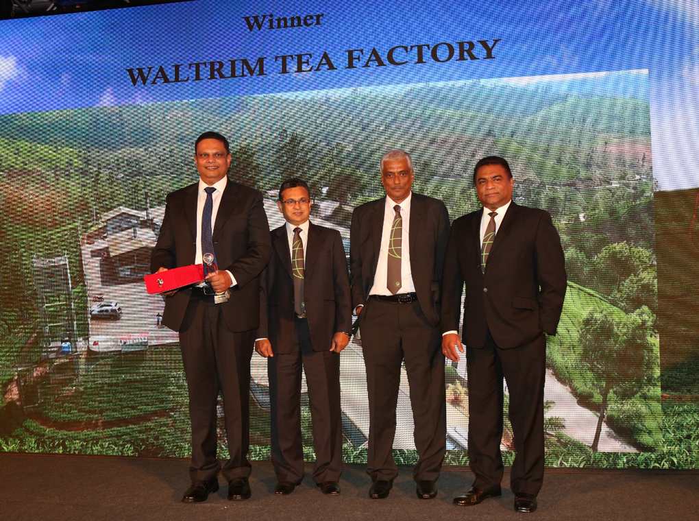 Hatton Plantations PLC – G & G Group of Companies