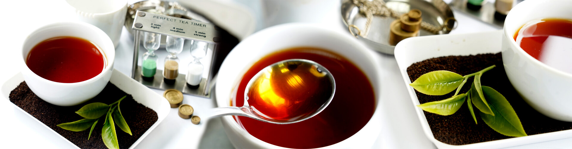 Hatton Plantations PLC – G & G Group of Companies